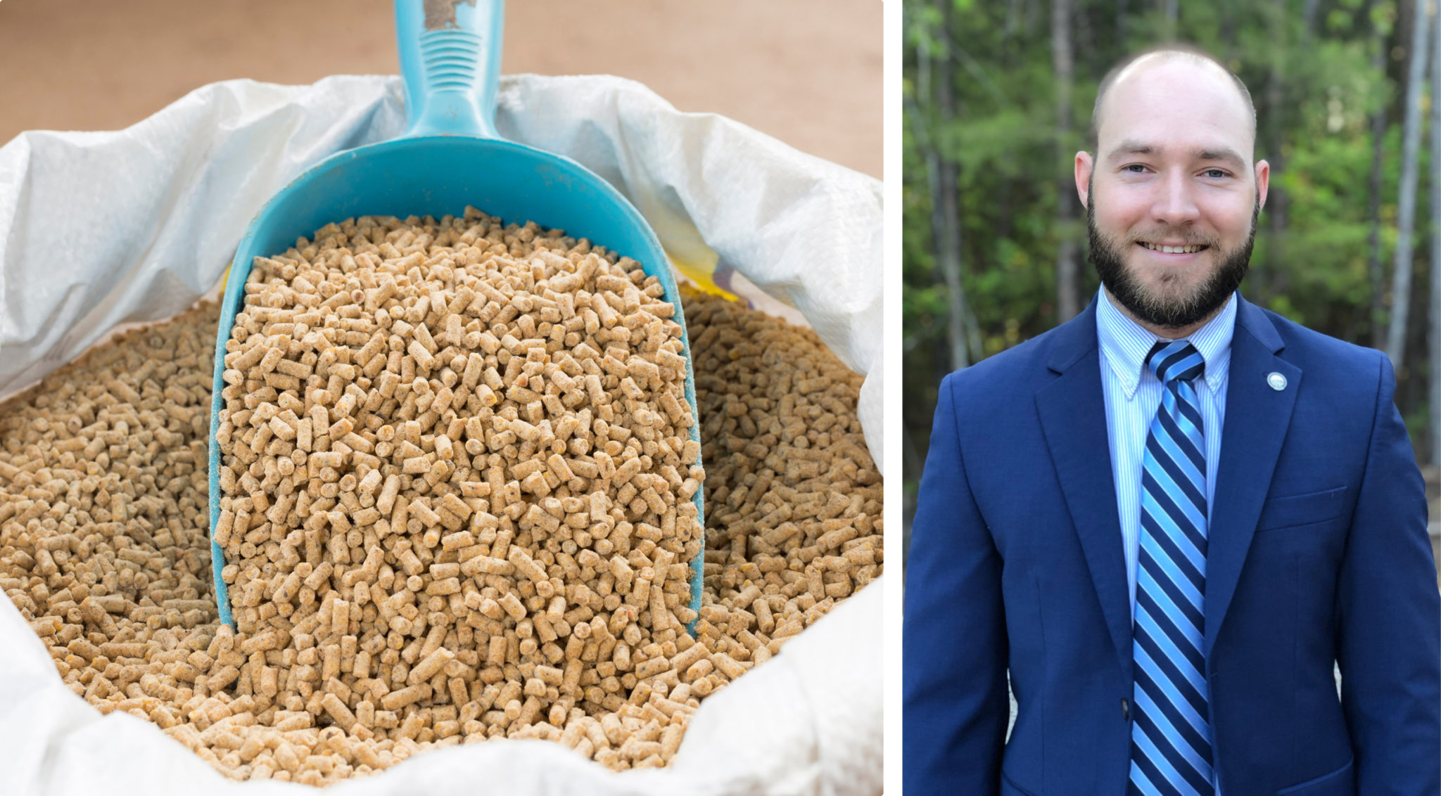 SCDA’s Feed Safety Team Keeps Pets and Livestock Safe - South Carolina ...